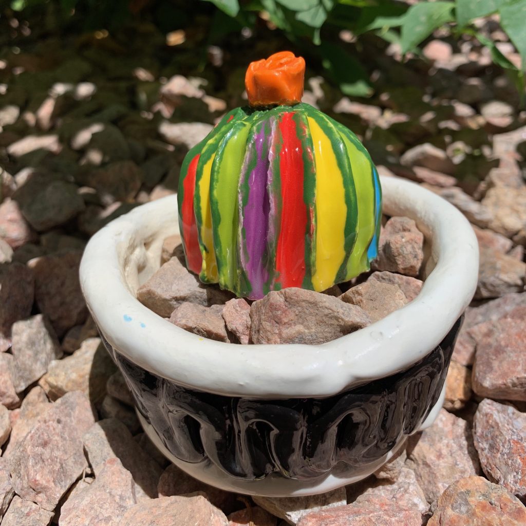 Coil and Cactus - Burst of Butterflies