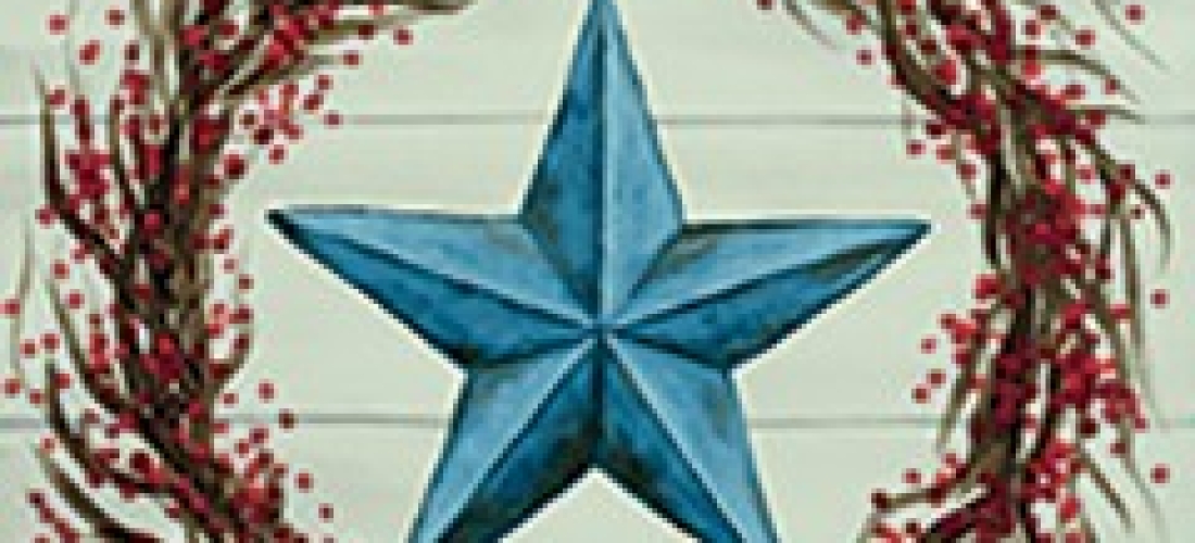 Rustic Star - Burst of Butterflies